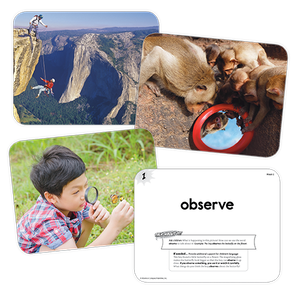 Word Heroes – Zaner-Bloser Shop – Tagged "grade:1"