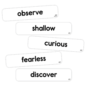 Word Heroes © 2017 Grade 1 Apprentice Word Cards – Zaner-Bloser Shop