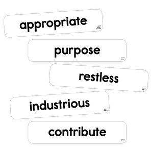 Word Heroes © 2017 Grade 2 Specialist Word Cards – Zaner-Bloser Shop